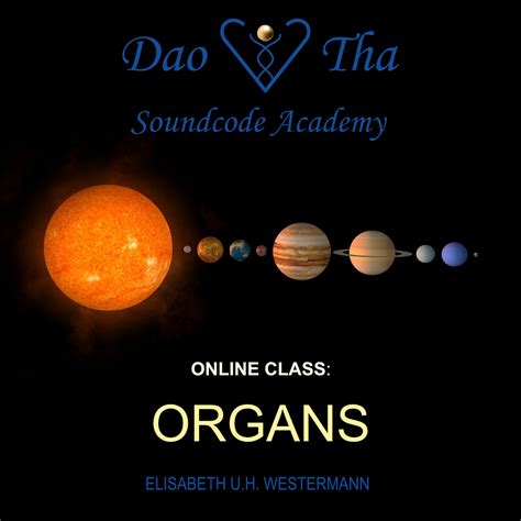 Organs Soundcode Class Dao Tha Soundcode Academy Organs Soundcode Class Dao Tha Soundcode Academy