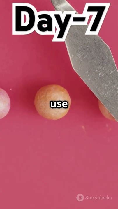 Tuples Python Coding Programminglanguage Programming Shortvideo Pythoncoding Youtube