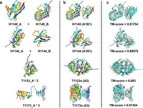 Enhancing Alphafold Multimer Based Protein Complex Structure Prediction With Multicom In Casp15