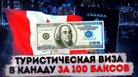 КАК ОФОРМИТЬ ТУРИСТИЧЕСКУЮ ВИЗУ В КАНАДУ ЗА 100 БАКСОВ Youtube