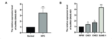 Lncrna Gnas As1 Was Upregulated In Npc A The Expression Level Of