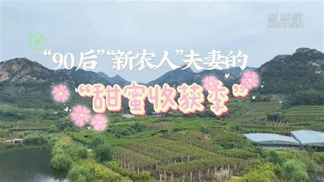 “90后”“新农人”夫妻的“甜蜜收获季” 新华网