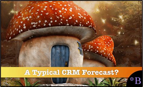 What Is A Crm Forecast Brightwork Research And Analysis