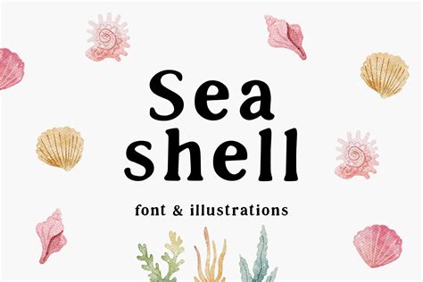 Sea Shell Font And Illustrations Design Cuts