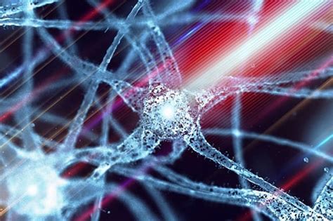 Optogenetics Tool Could Provide Long Term Control Of Brain Processes