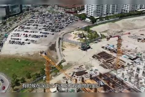 男子深山采药，意外挖出袖珍版“香蕉”，专家：你发财了！香蕉深山男子