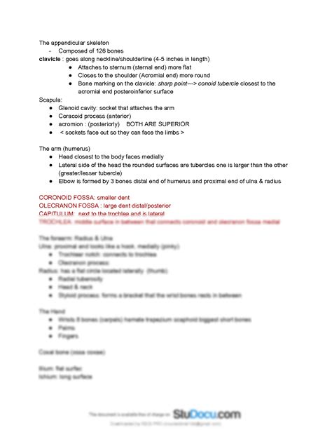 SOLUTION Appendicular Skeleton Notes Studypool
