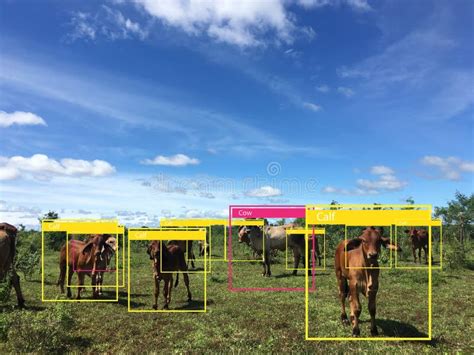 Iot Machine Learning With Human And Object Recognition Which Use