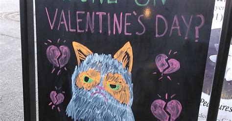 grumpy cat outside of my local bookstore imgur