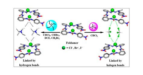 Quaternary Cocrystals Based On Halide Binding Foldamers Through Both