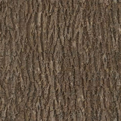 Tree Texture Seamless