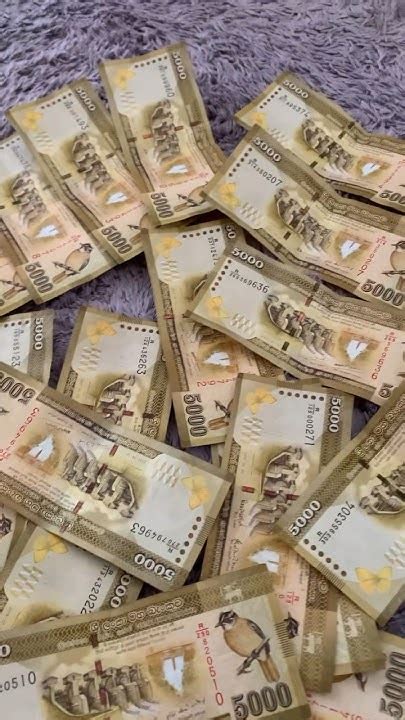 ️ ️ ️ ️ ️සල්ලි හෙයන විදිය කියා දෙන්නද ලයික් කරලා මෙසෙජ් එකක් දාන්න ️ ️ ️ ️ ️ ️ Youtube