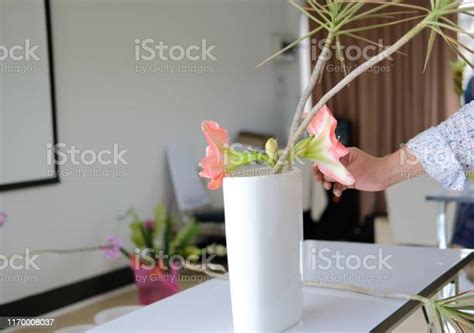 꽃병에 꽃다발을 배열 꽃집 플로리스트리 클래스 코스 워크샵 개화기에 대한 스톡 사진 및 기타 이미지 개화기 교사 교육 관련
