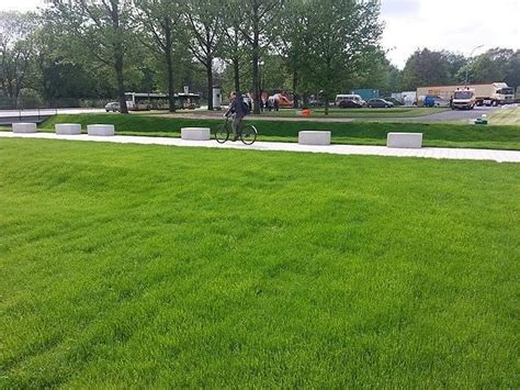 Northbridge Bermuda Grass What Are Different Bermuda Grass Types And
