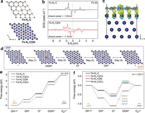 A The Optimized Structure Models Of Fe−n4−c Top And Fe−n4−c Ni
