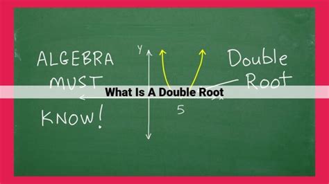 Understanding Double Roots Polynomial Roots Graph Behavior And