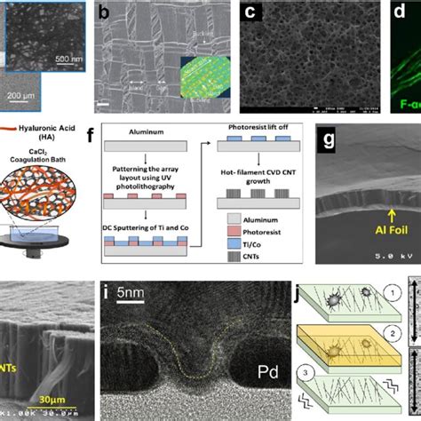 Microstructure And Fabrication Process Of Cnts Based Devices A Sem Download Scientific Diagram