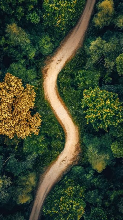 Bird S Eye View Of A Winding Dirt Path Splitting Into Two Separate