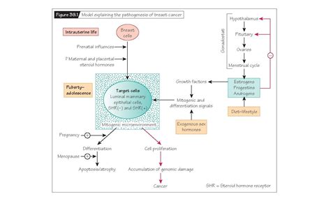 Benign And Malignant Diseases Of The Breast Pediagenosis