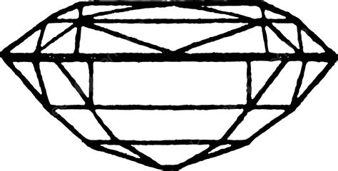 A Vintage Engraving Depicting The Similarity Between Split Cut And Trap