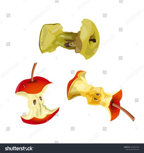Set Apple Cores Vector Illustration Isolated Stock Vector Royalty Free 1975037522 Shutterstock
