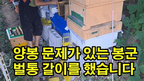 양봉 문제가 있는 봉군 벌통 갈이를 했습니다 Youtube