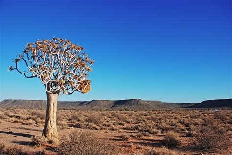 Visit Karas Region 2021 Travel Guide For Karas Region Namibia Expedia
