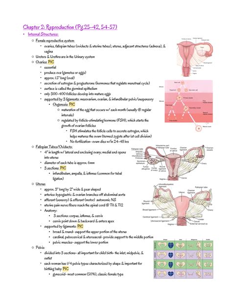 Maternity Exam 1 Textbook Notes Chapter 2 Reproduction Pg 42 54