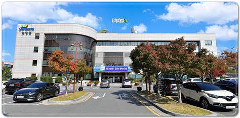 전남 장성군 신소득 원예작물 ‘레몬 집중 육성 위키트리