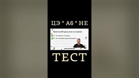 ТЕСТ на НЕ Слитно или раздельно русскийязык цэ2025 егэ2025