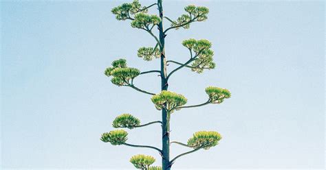 Gemini Code Assist To Create Apis Integrations And Automation Flows