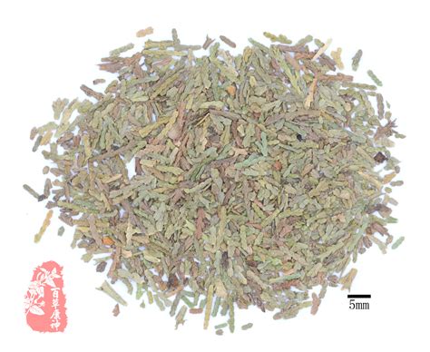 叶类 河北百草康神药业有限公司 中药材 中药饮片 根茎类