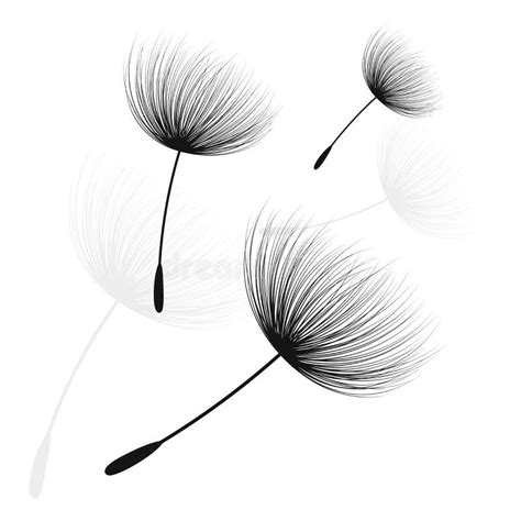 Vector Illustration Dandelion Time Dandelion Seeds Blowing In The Wind