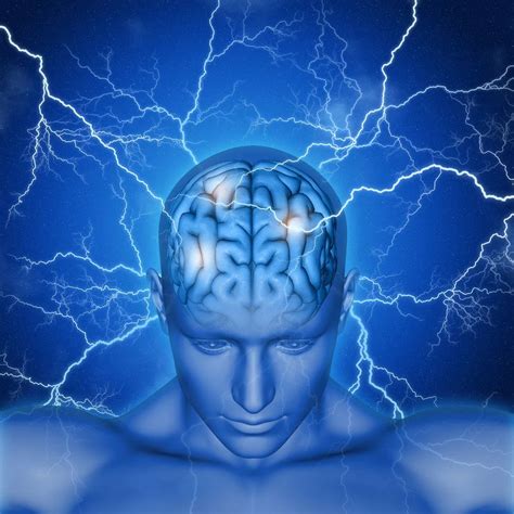 Neuroplasticity Course For Memory Power For Corporates At Rs 14000 In
