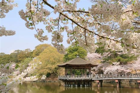 Zekkei Japan