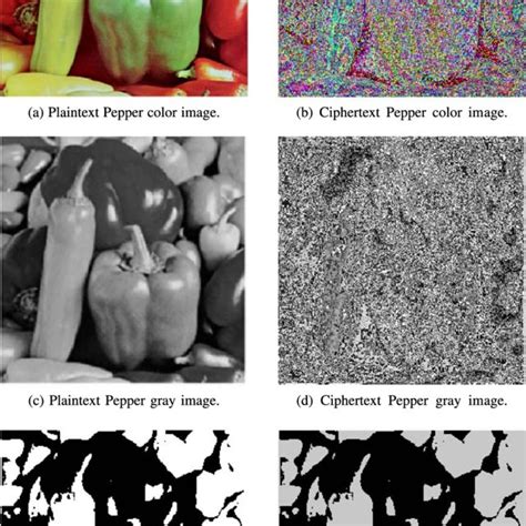 Encryption Results Of Khans Scheme S Box Can Work For Color And Some Download Scientific