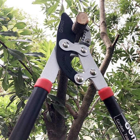 Gonicc Professional Cm SK Steel Blade Anvil Lopper Tree Pruners Cm Cutting Capacity
