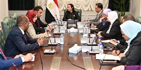 التضامن الاجتماعي تشكل لجنة لبناء قاعدة بيانات شاملة للأشخاص ذوي