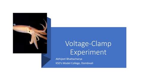 Voltage Clamp Experiment Pdf
