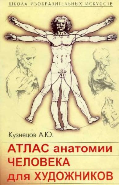 Атлас анатомии человека для художников Кузнецов А Ю