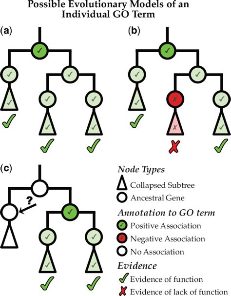 Figure 1 From Benchmarking Gene Ontology Function Predictions Using Negative Annotations