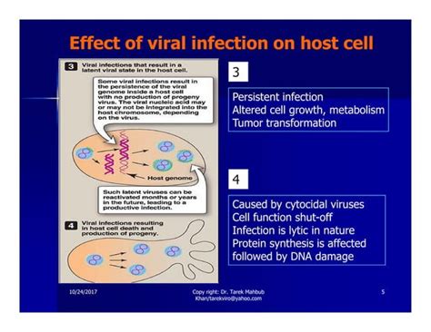 Virus Cell And Virus Host Interaction Virology 7 Pdf