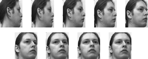 Figure 1 From Why To Combine Reconstructive And Discriminative Information For Incremental