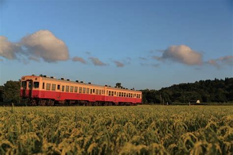小湊鐵道 上総鶴舞上総久保 鉄道ホビダス