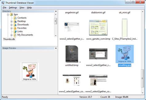 Thumbnail Database Viewer It Samples