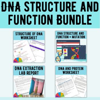 DNA Structure And Function Slides Worksheet And Google Form Bundle