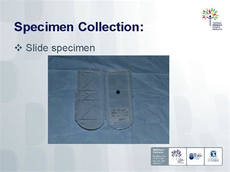 Forensic Medical Examination Kits Fmek Colleen Mentis Forensic