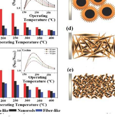 Dynamic Response Of Different Sensor Morphologies To A H 2 B No 2