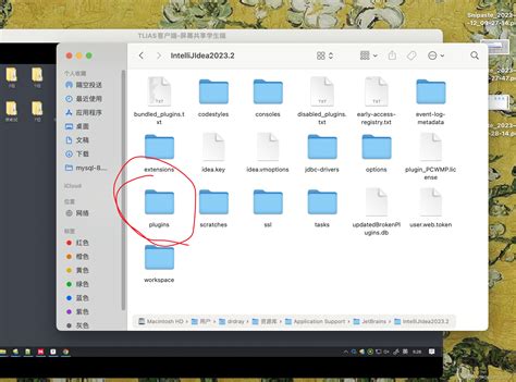 Idea启动错误start Failed 插件与idea冲突导致无法启动 Mac解决方法安装插件后ideastart Failed Csdn博客