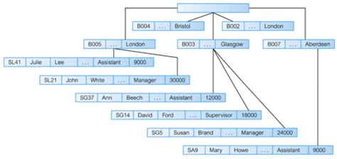 Chapter Introduction To Databases Flashcards Quizlet